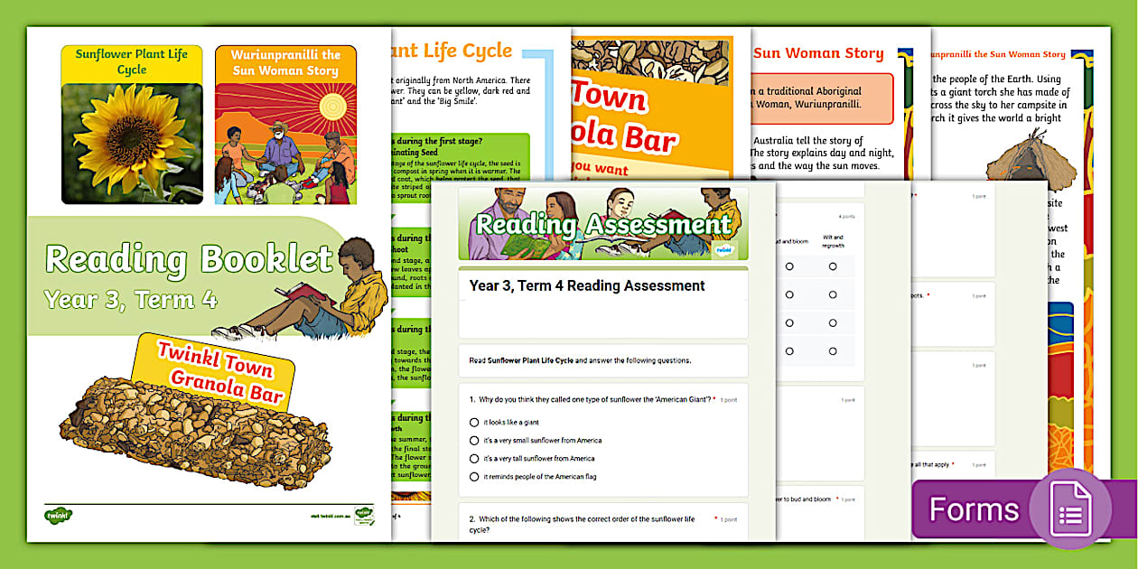 Year 3 Reading Comprehension (teacher made) - Twinkl