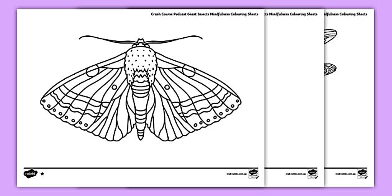 Crash Course Podcast Giant Insects Mindfulness Colour Sheets