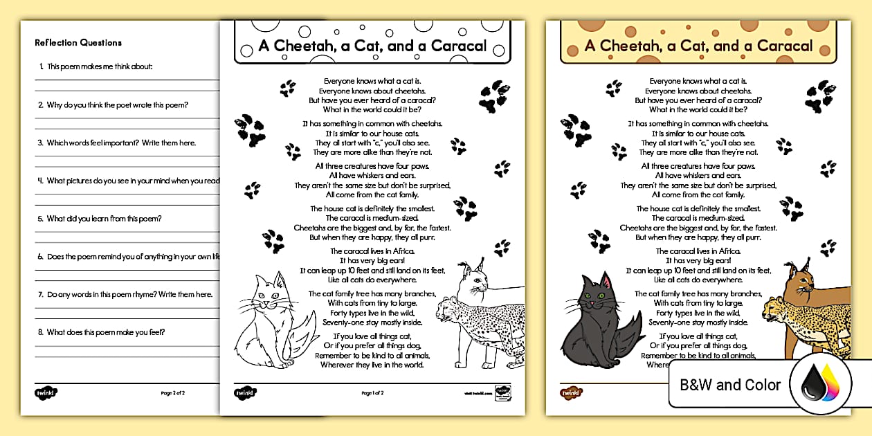 Second Grade Poetry Analysis Worksheet: A Cheetah, a Cat, and a Caracal
