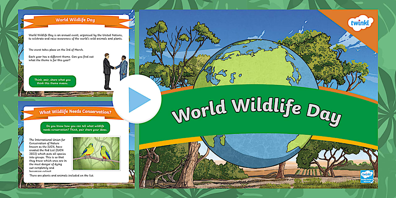 World Wildlife Day Information PowerPoint (teacher made)