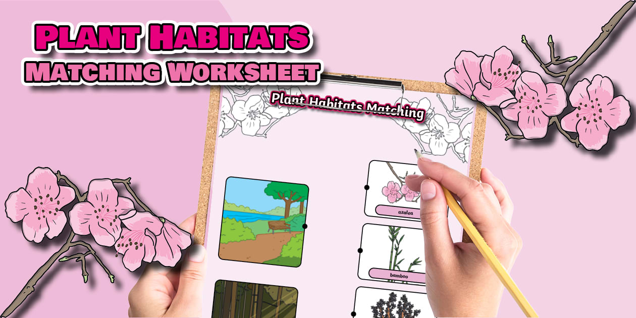 * NEW * Plant Habitats Matching Worksheet