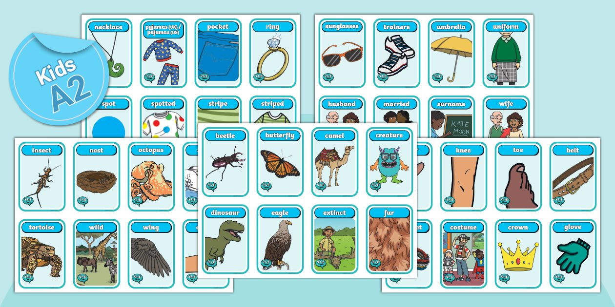 YLE Flyers - Exam Flashcards (teacher made) - Twinkl