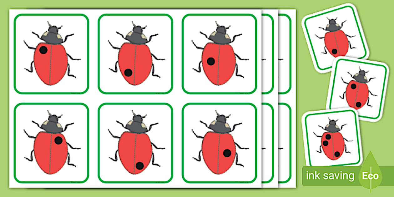 Editable Ladybird 1, 2, 3 Sorting Cards (teacher made)