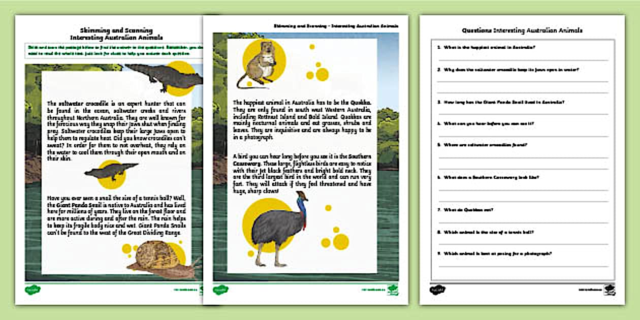 Skimming and Scanning Activities PDF | Primary Resources