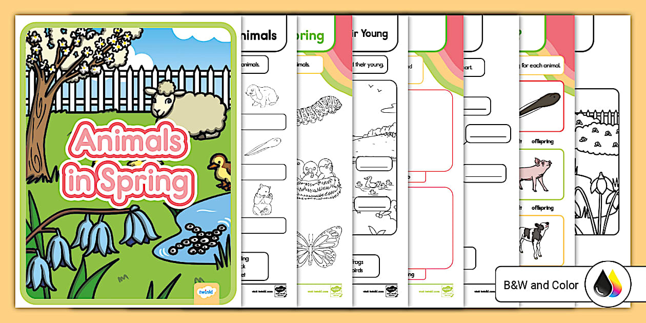 Animals in Spring Activity Booklet for PK-K (teacher made)
