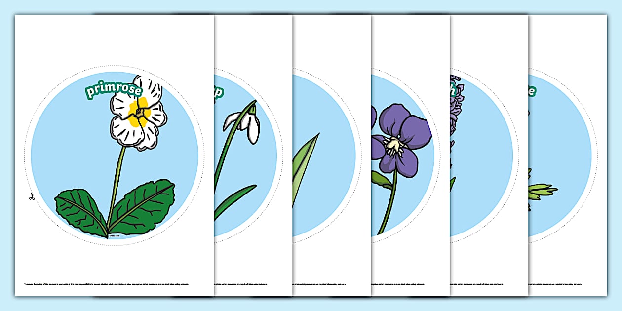 Spring Flowers Circle Cut-Outs (teacher made) - Twinkl