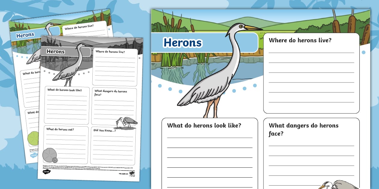 Heron Fact File Template (teacher made) - Twinkl