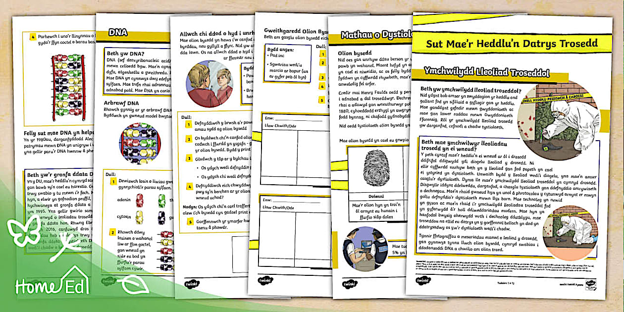 Sut Mae'r Heddlu yn Datrys Trosedd (teacher made) - Twinkl