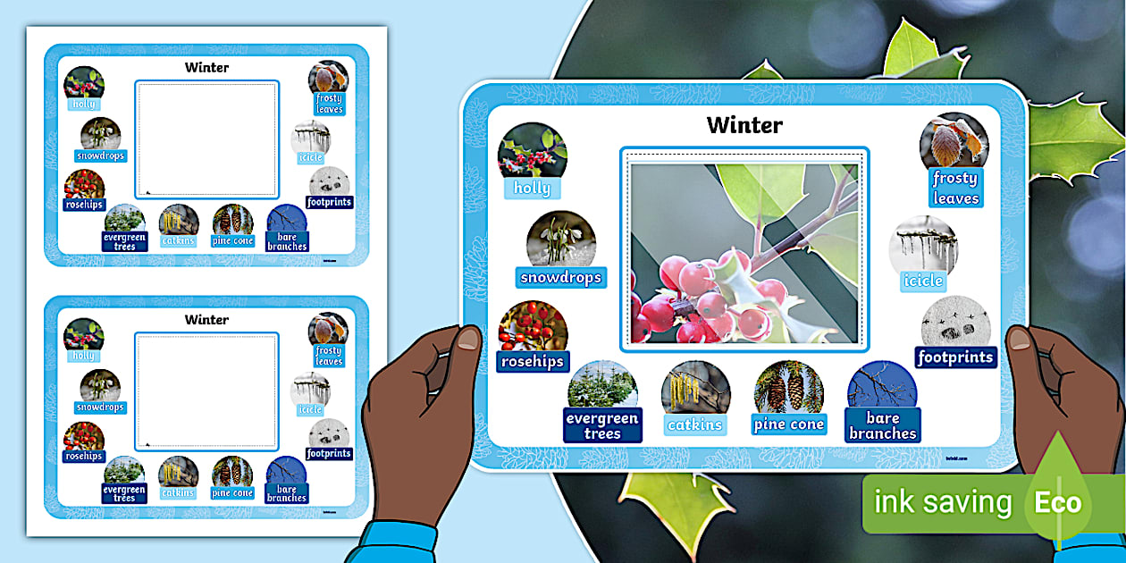 I Spy Nature Frame: Winter | Outdoor Learning | Twinkl