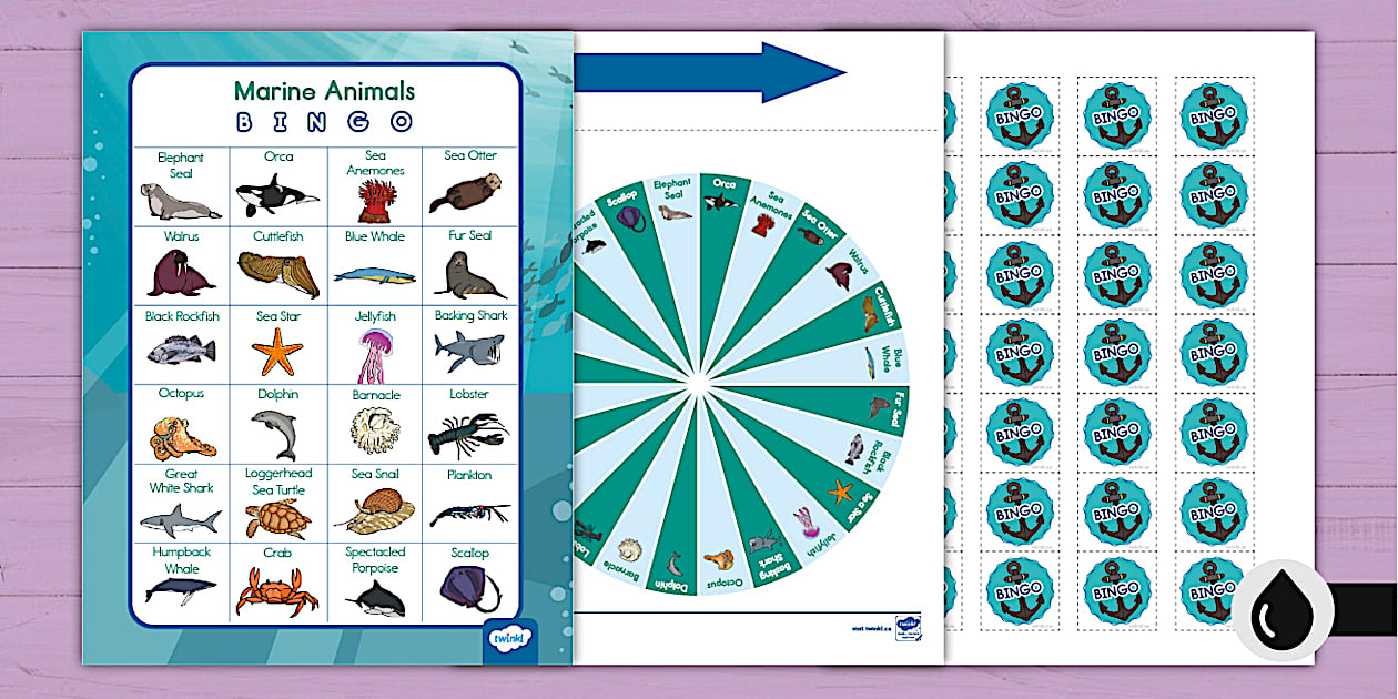 Marine Animal Bingo (Teacher-Made) - Twinkl