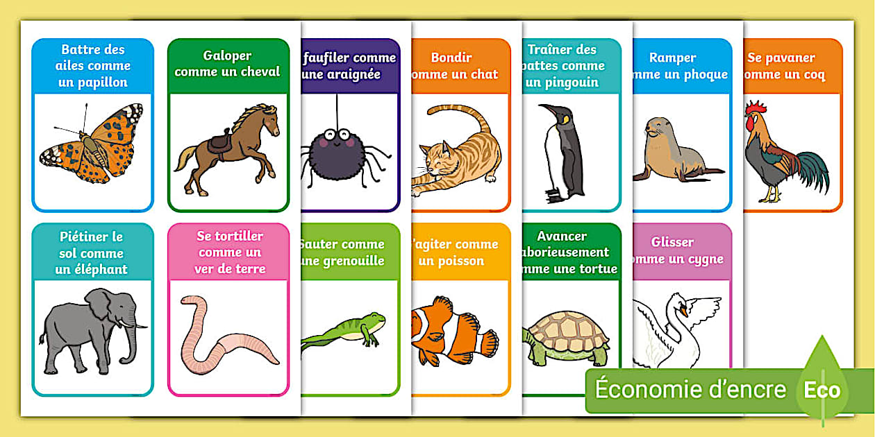 Le mouvement des animaux - cartes