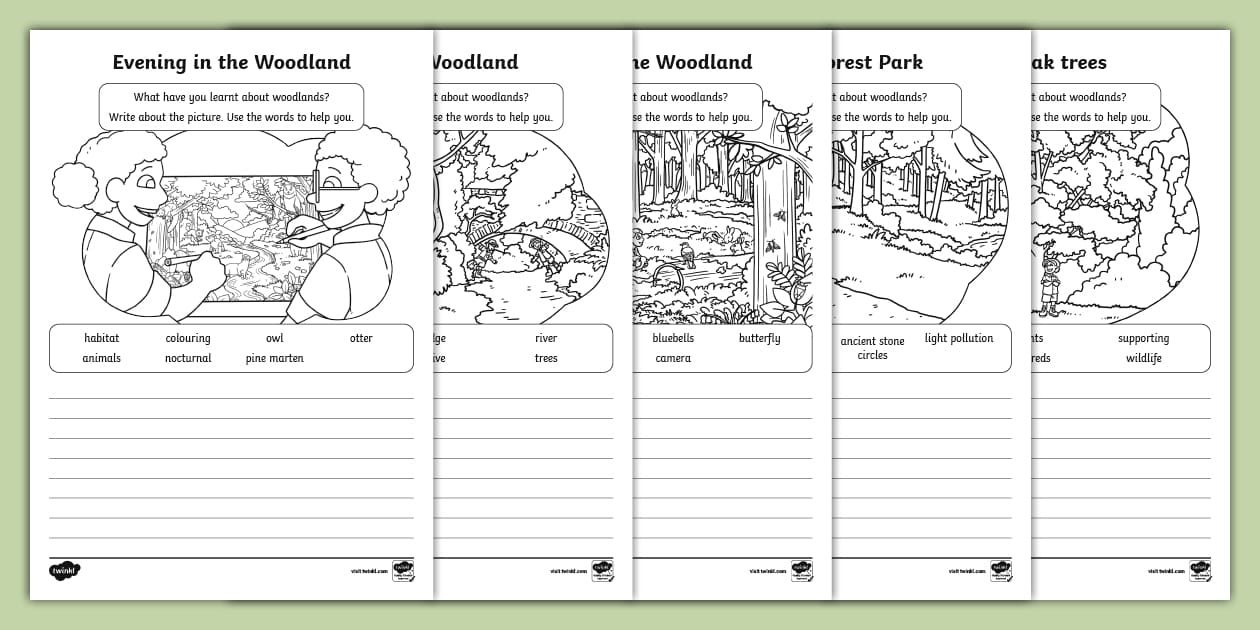 Write about Woodlands with Mia and Dan Activity Sheets