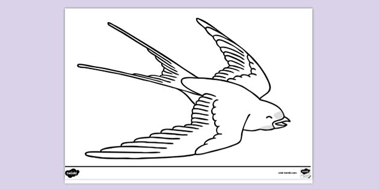 Bird Flying Colouring Sheet (teacher made) - Twinkl
