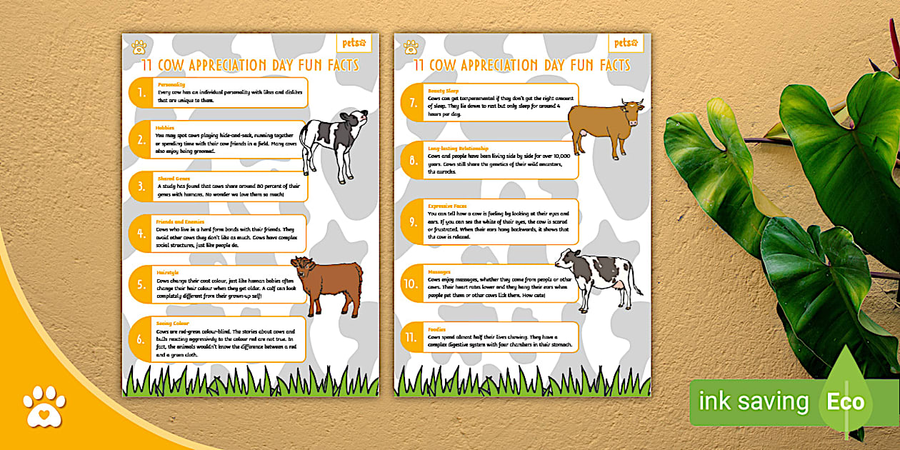 11 Cow Appreciation Day Fun Facts - Fact Sheet - Twinkl