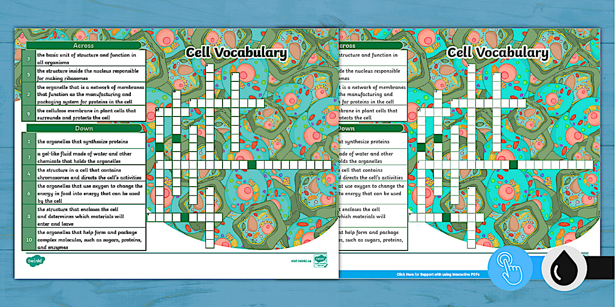 Cell Vocabulary Crossword Puzzle - Twinkl