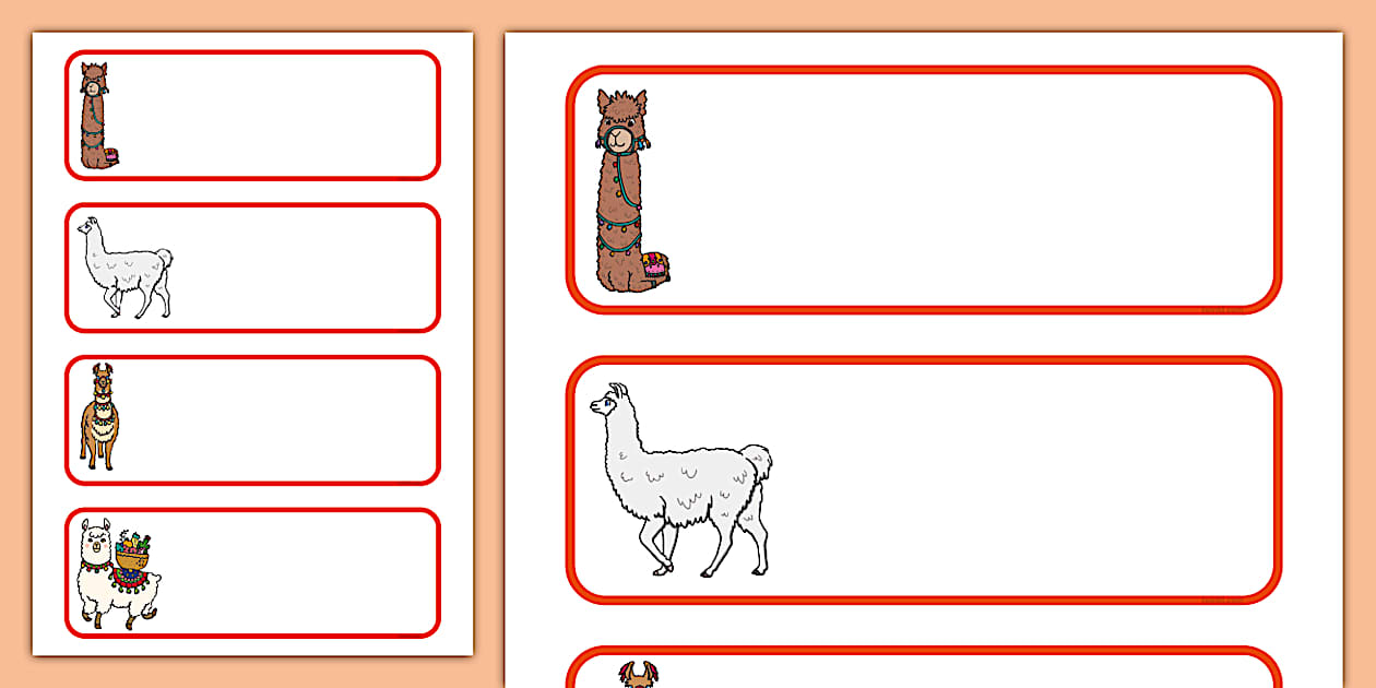 Llama Editable Drawer Labels - Twinkl