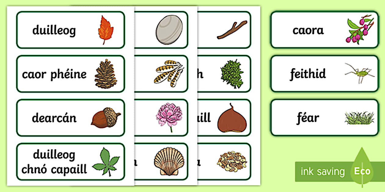 Nature Table Display Word Cards Gaeilge (teacher made)