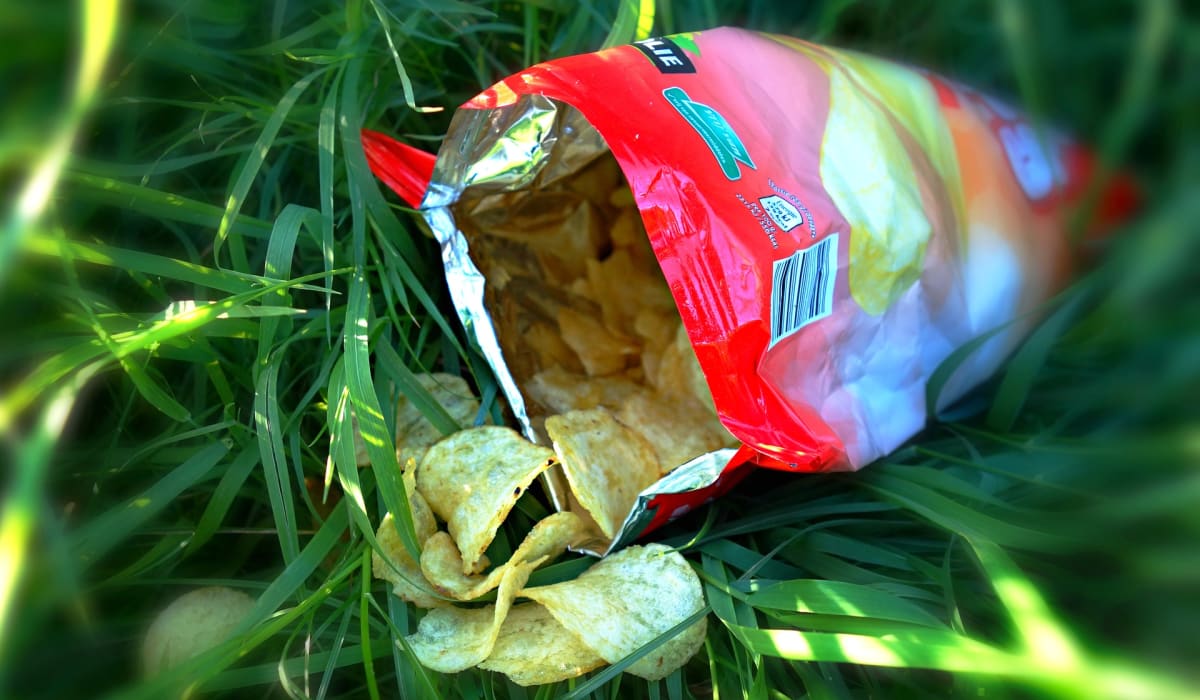 Ready Sorted - Twinkl NewsRoom - Twinkl