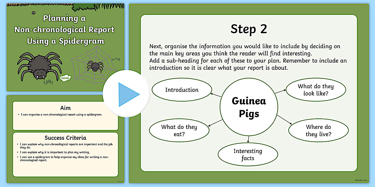 Non-Chronological Report Planning PowerPoint (teacher made)