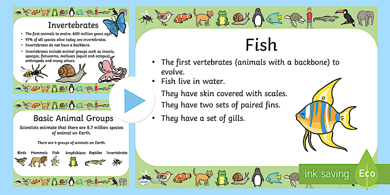 Animal Classification Quiz PowerPoint - Primary Resources