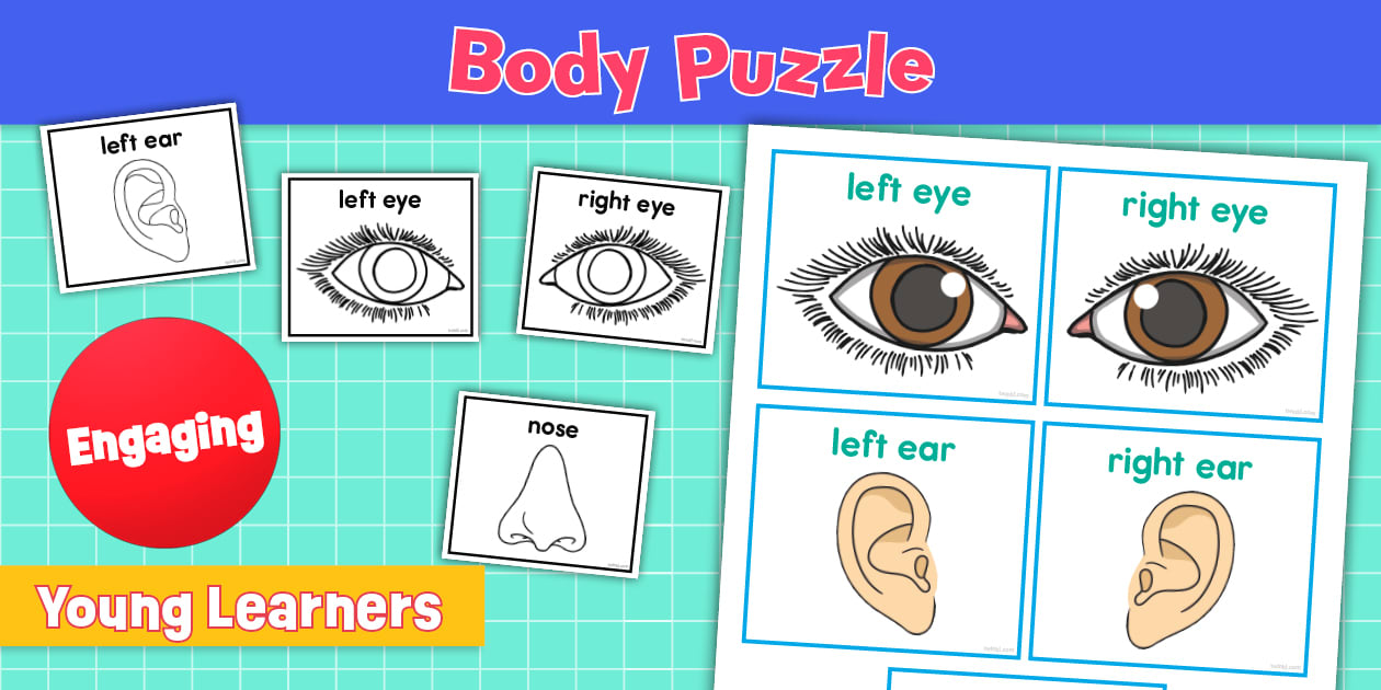 Body Puzzle for PreK-K (teacher made) - Twinkl