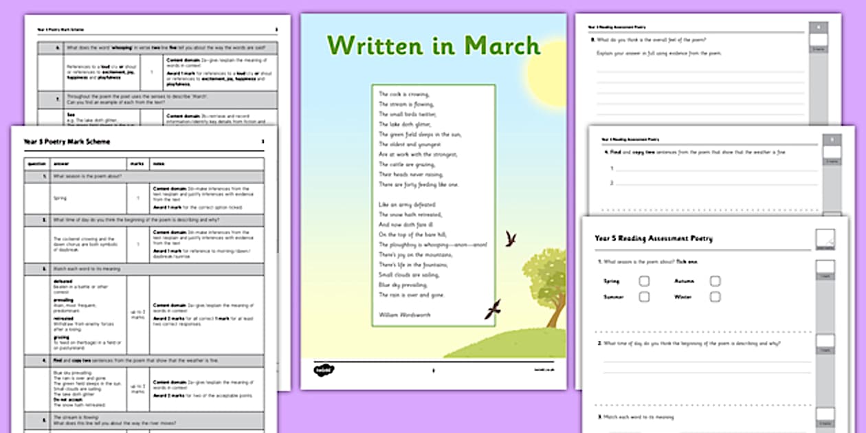 Year 5 Term 1 Poetry Reading Assessment (teacher made)