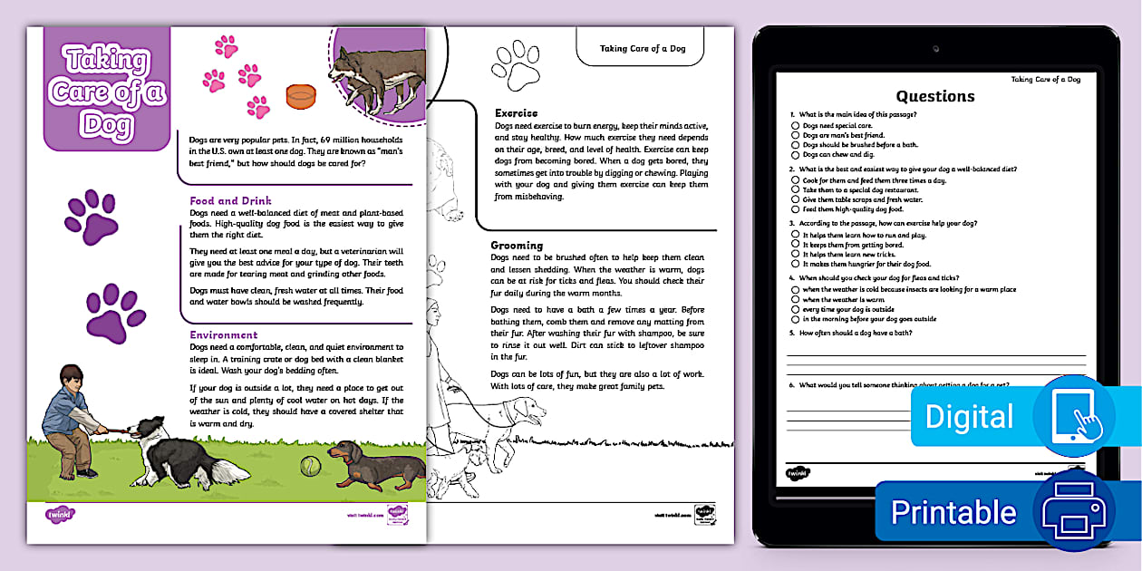 How to Take Care of a Dog Reading Worksheet | Twinkl USA