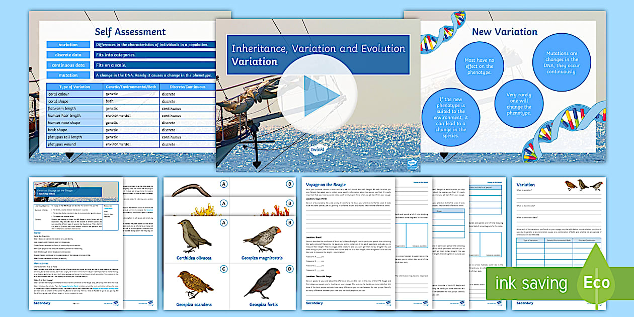 Editable Aqa Inheritance Variation And Evolution Lesson 6 Variation