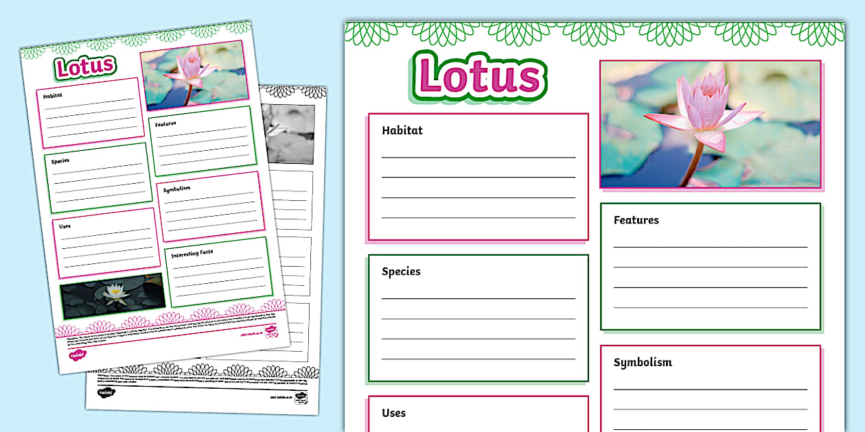 Lotus Fact File Template (teacher made) - Twinkl