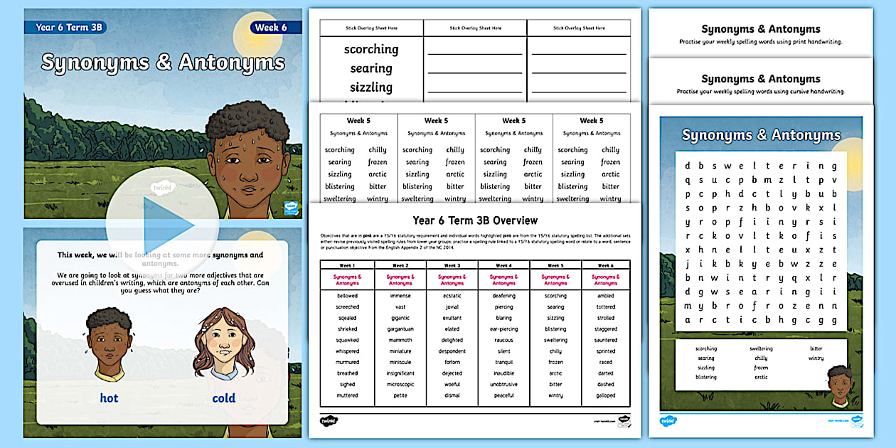 Year 6 Term 3B Week 5 Spelling Pack (teacher made) - Twinkl