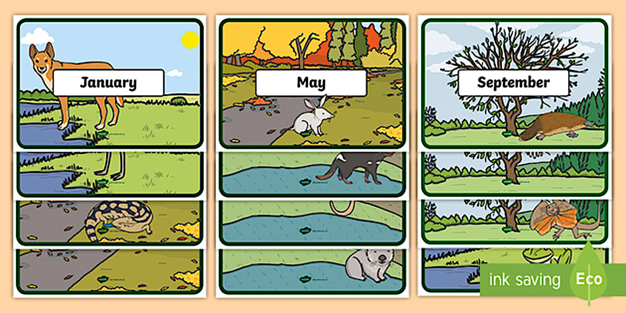 Australian Animals Months of the Year and Seasons Display Posters