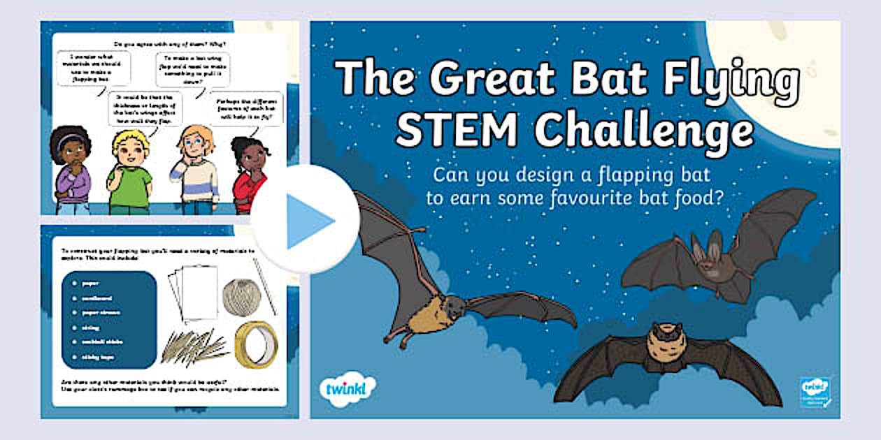 The Great Bat Flying STEM Challenge (teacher made) - Twinkl