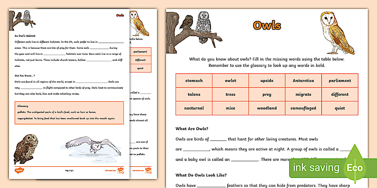 Owl Cloze Procedure Writing Activity (Teacher-Made) - Twinkl