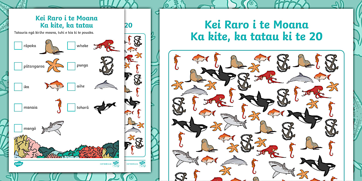 Kei Raro i te moana. Ka kite ahau! (teacher made) - Twinkl