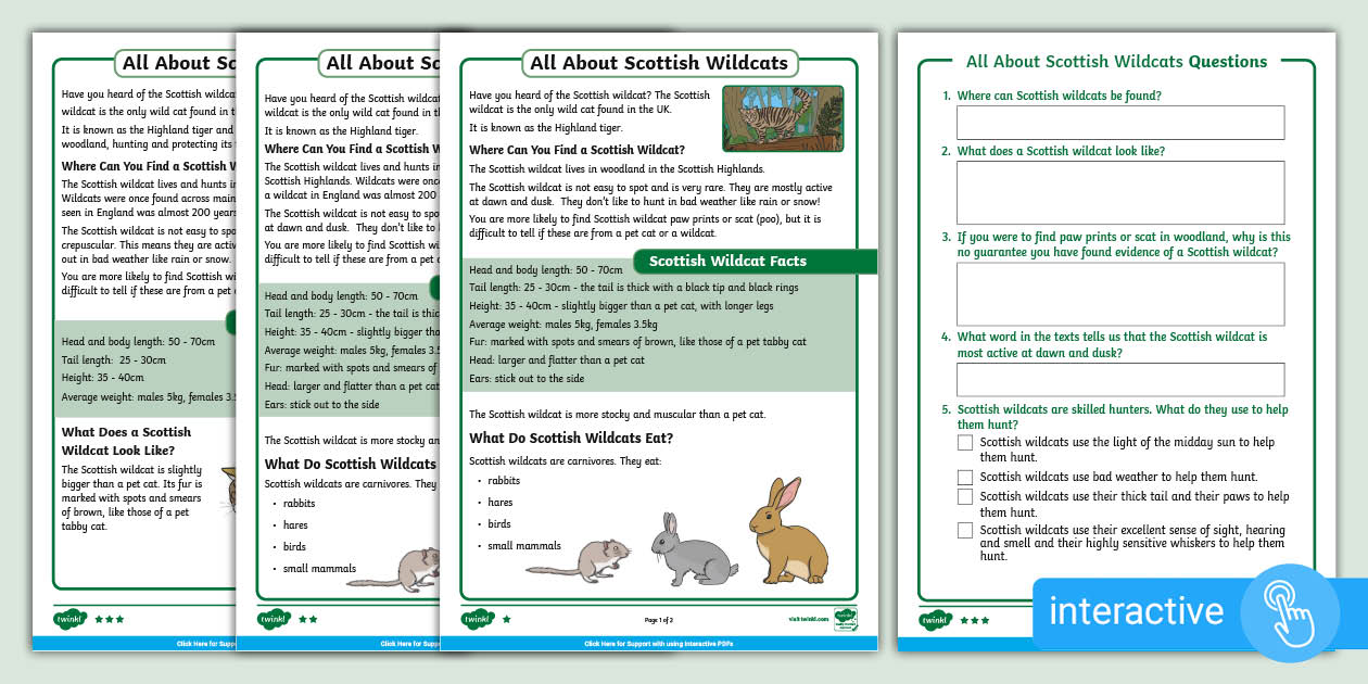 Interactive PDF: All About Scottish Wildcats Comprehension