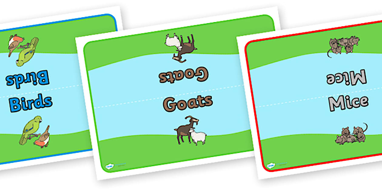 👉 Editable Class Group Table Signs (Animals) - Twinkl