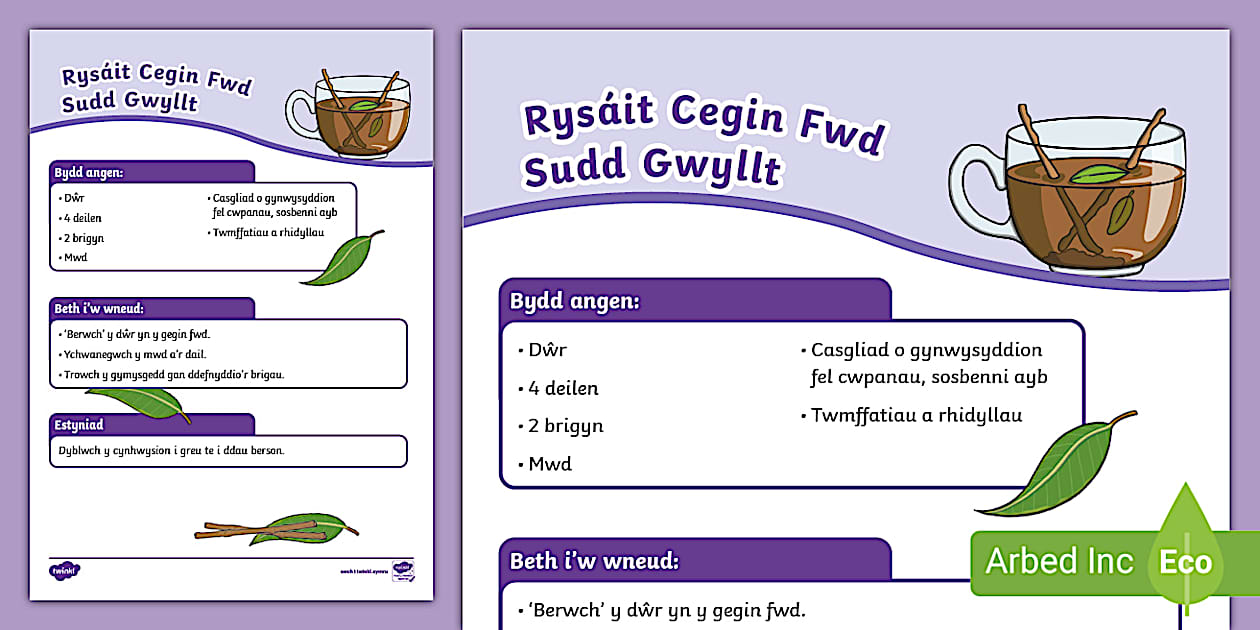 Rysáit Cegin Fwd: Sudd Gwyllt (teacher made) - Twinkl