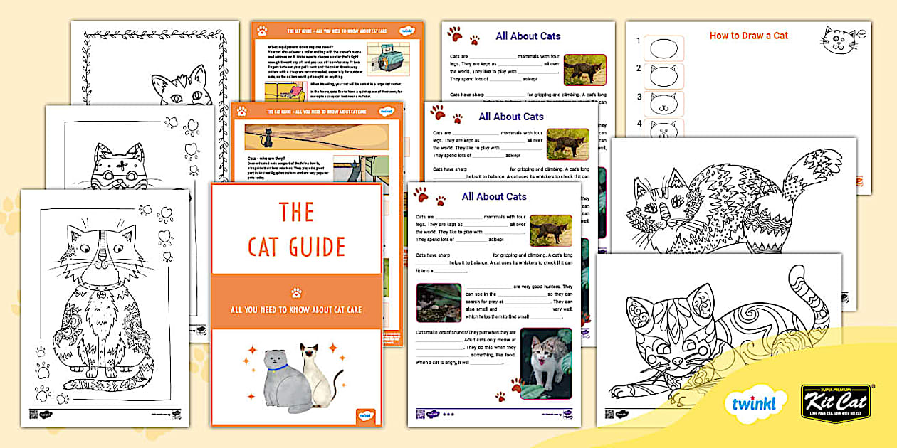 Twinkl x Kit Cat: International Cat Day Resource Pack