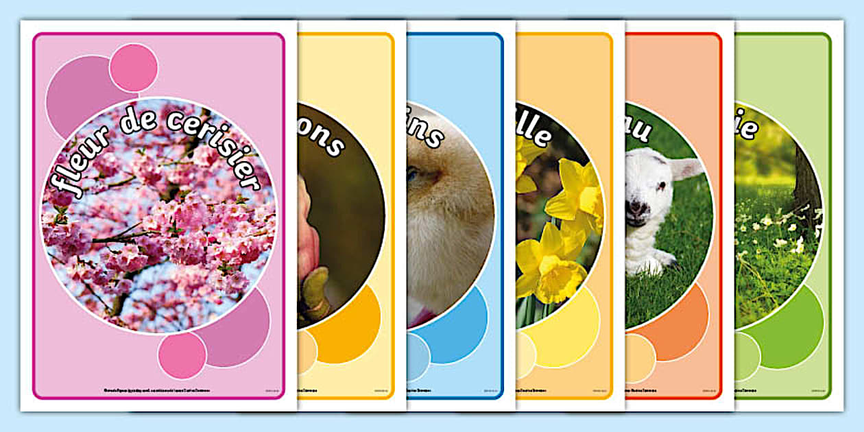 Photos d'affichage : Le printemps (teacher made) - Twinkl