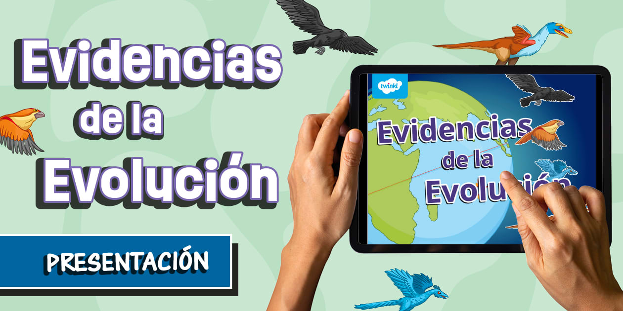 PowerPoint | Evidencias de Evolución | Biología | I° Medio