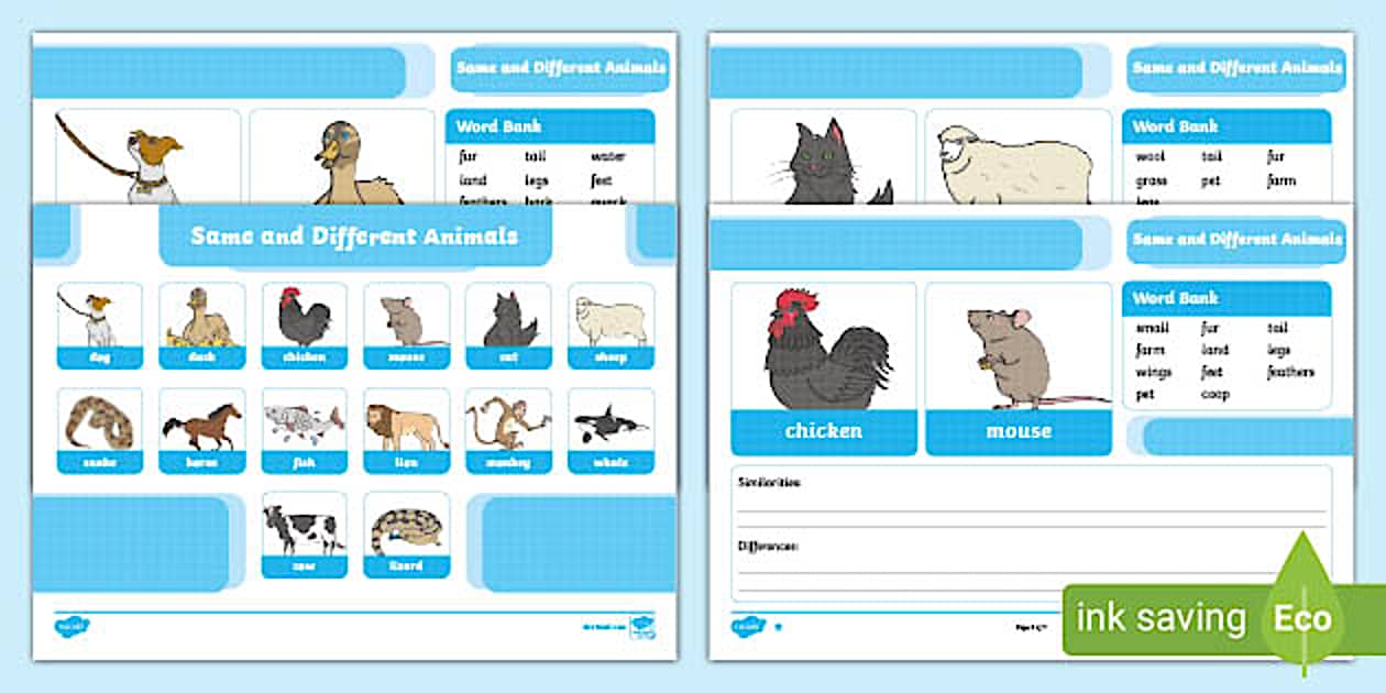 Same and Different Animals (teacher made) - Twinkl