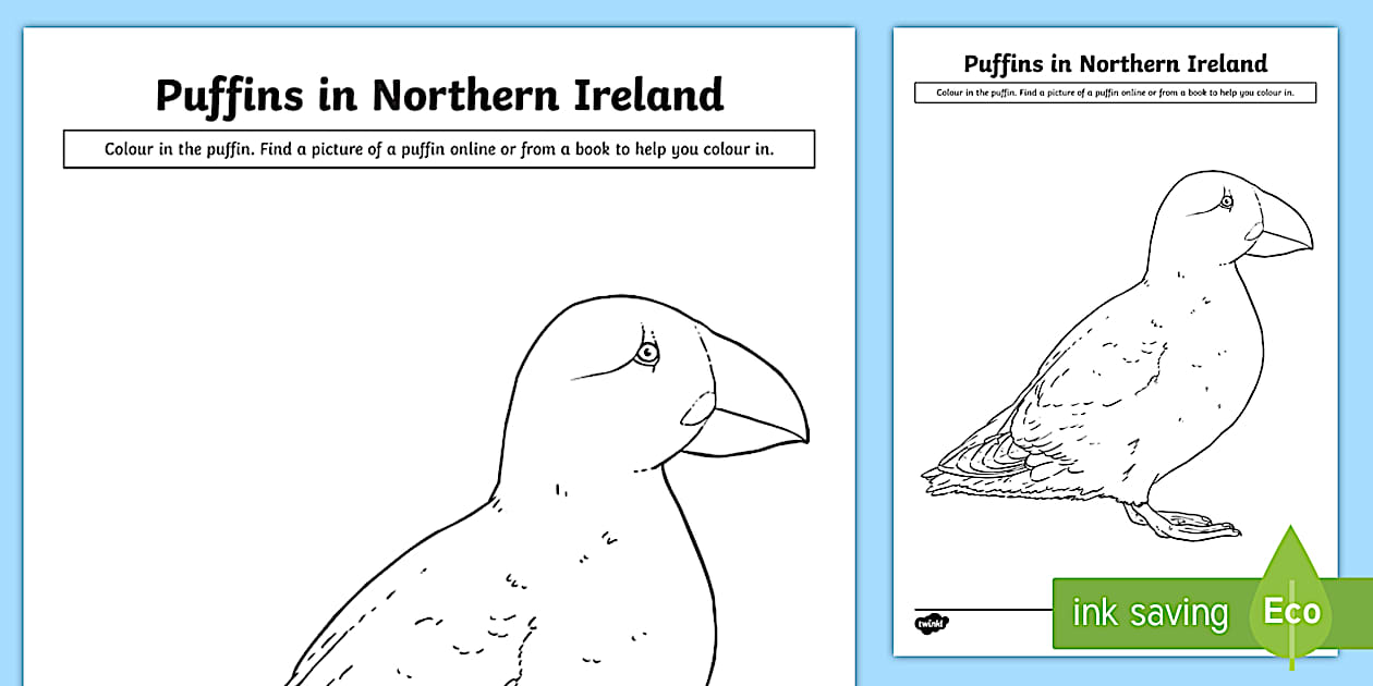 Puffin Colouring Page (teacher made) - Twinkl