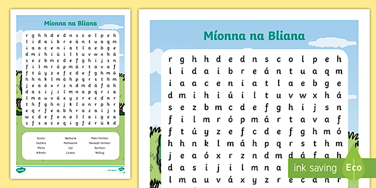 Cuardach Focal: Míonna na Bliana (teacher made) - Twinkl