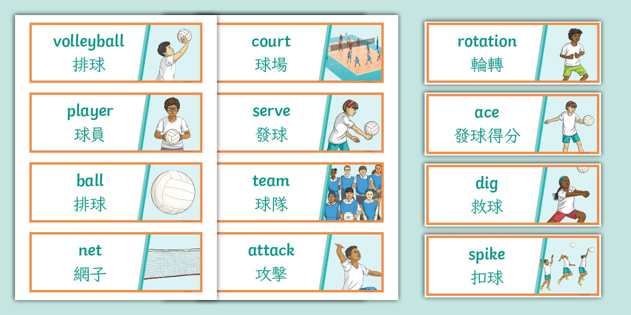Volleyball Word Cards ｜中英雙語 (teacher made)