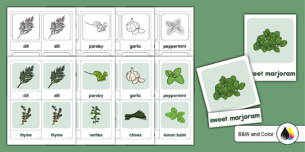 Herbs Vocabulary Three-Part Matching Cards (teacher made)