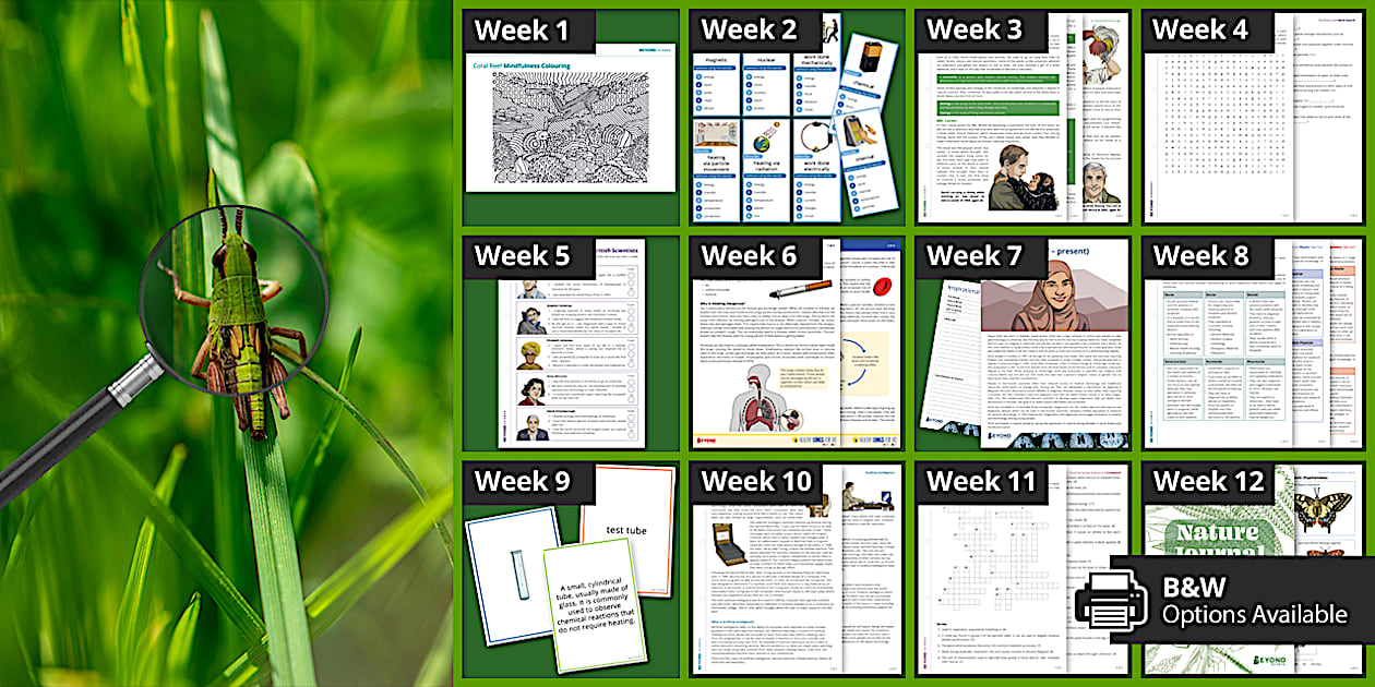 Science Form Time Activities Pack (Summer)