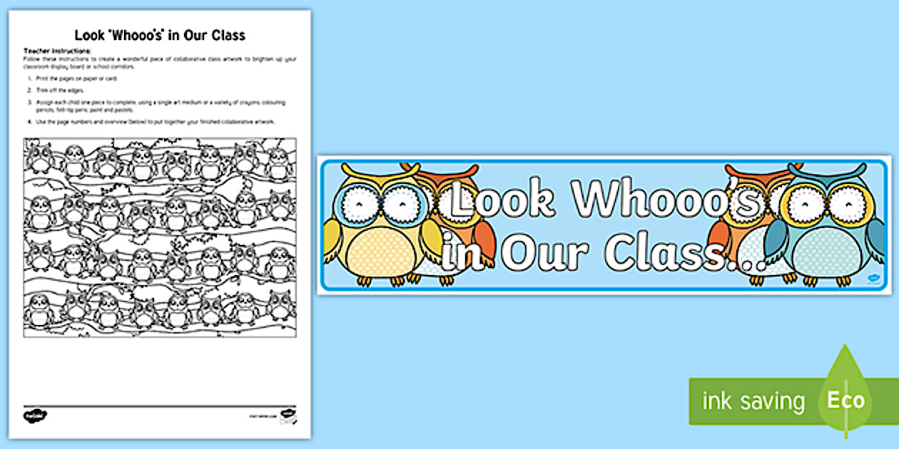 Look Whooo's in Our Class Collaborative Colouring Display Pack