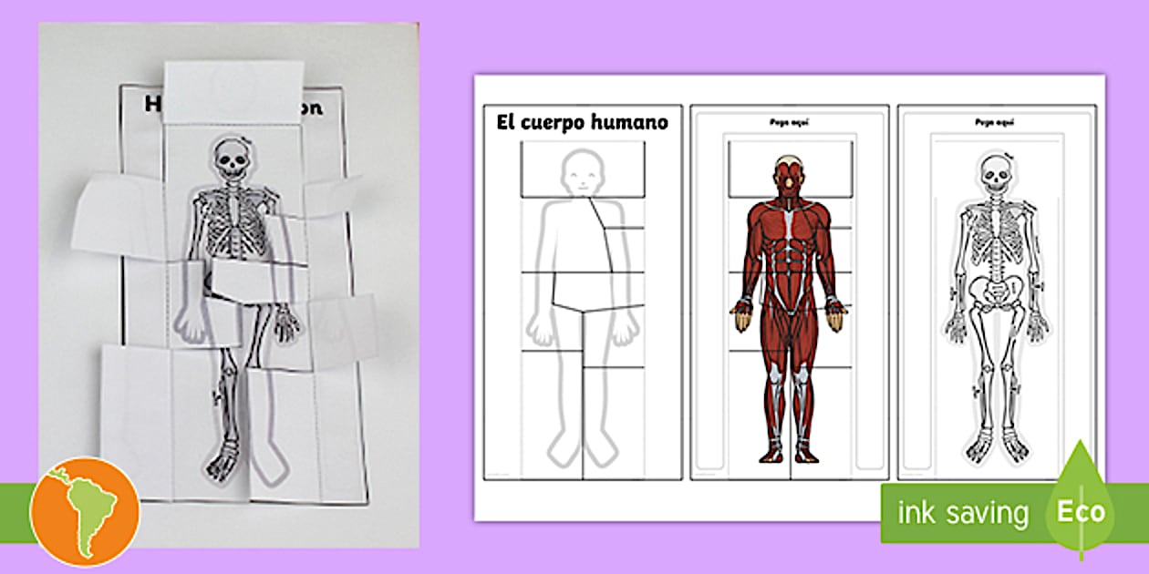 Actividad El Cuerpo Humano Teacher Made Twinkl