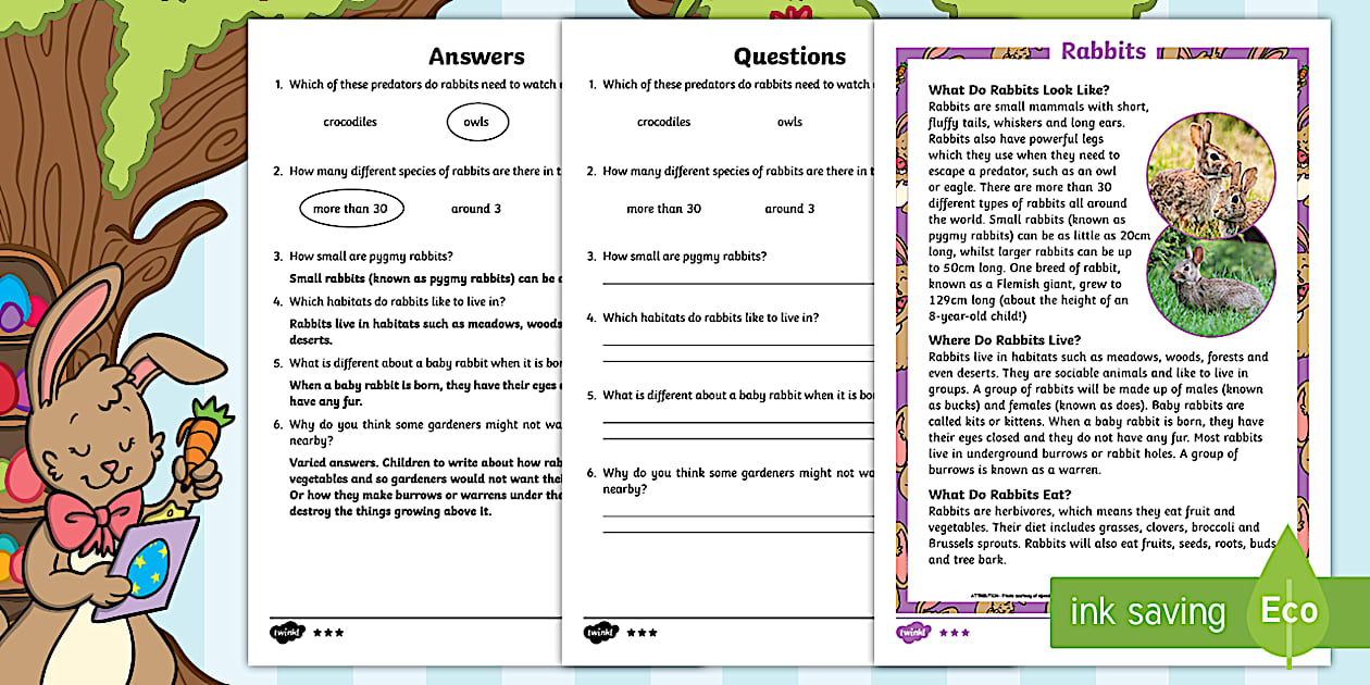 KS1 Rabbit Reading Comprehension Activity (teacher made)