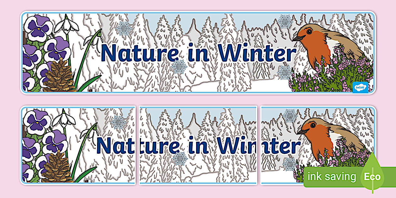 Nature in Winter Banner (teacher made) - Twinkl